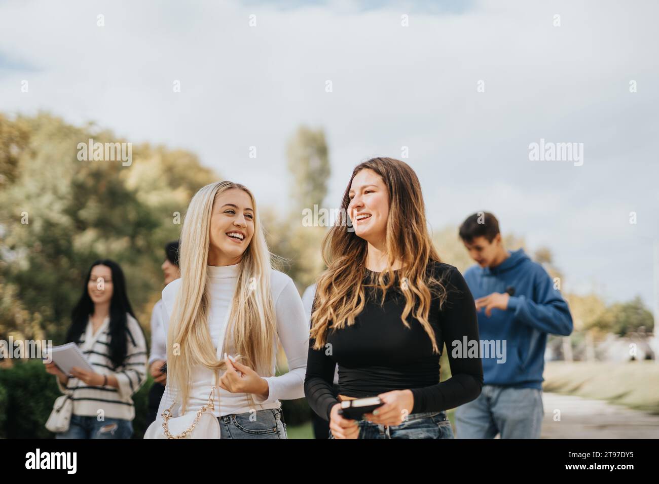 University students gather in a sunny park, studying subjects and ...