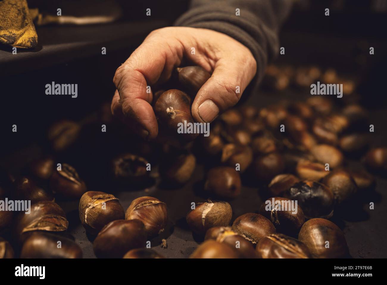 Hand picking roasted chestnuts from a hot tray at a Christmas market ...