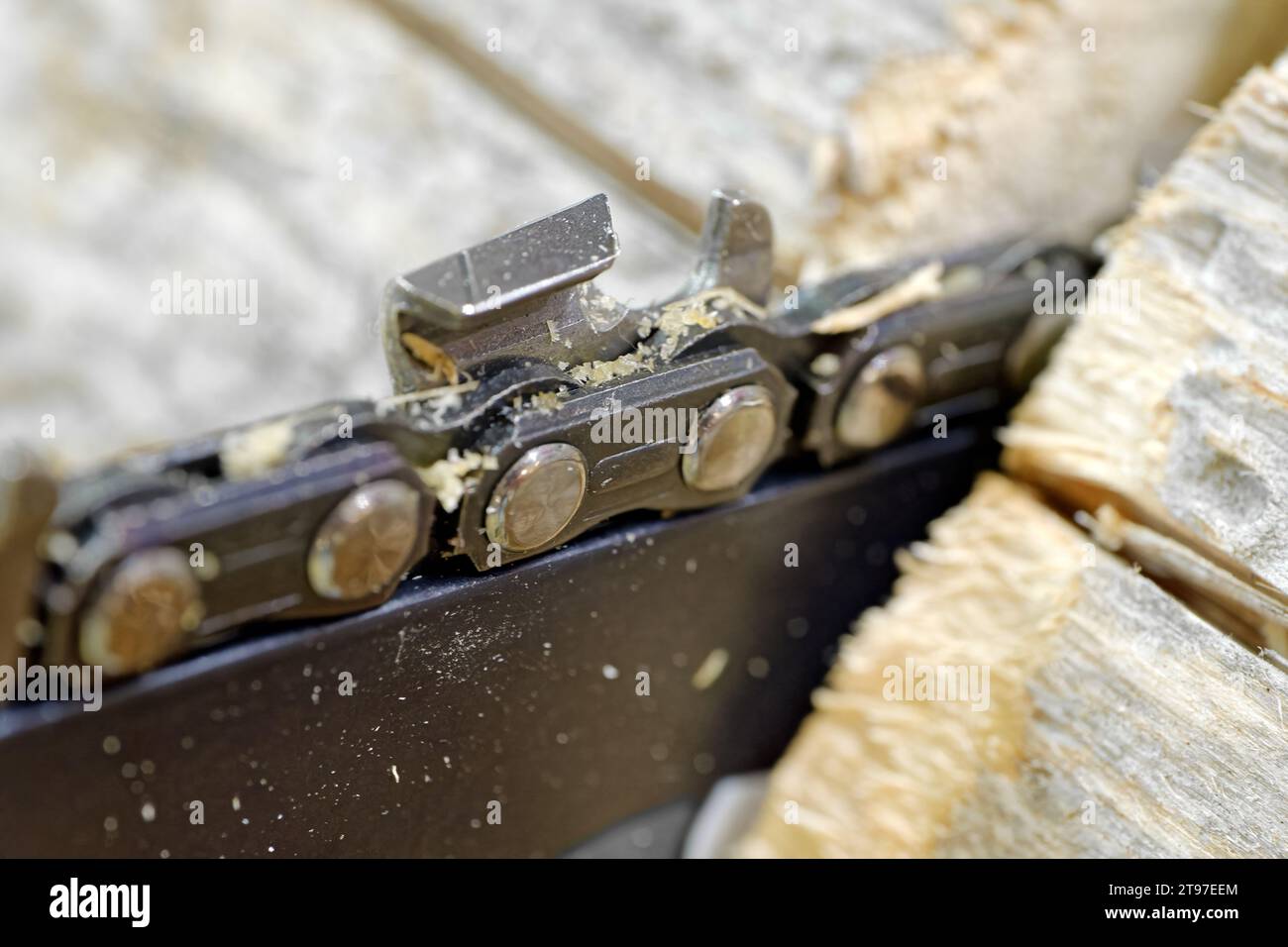 Сhain saw and sawn log, woodworking still life Stock Photo - Alamy