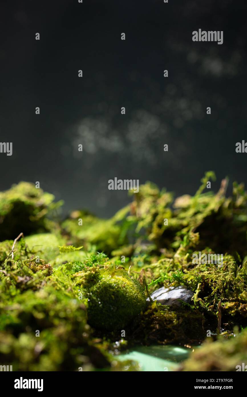 Photo backdrop for merchandise, Product image backdrops Stock Photo - Alamy