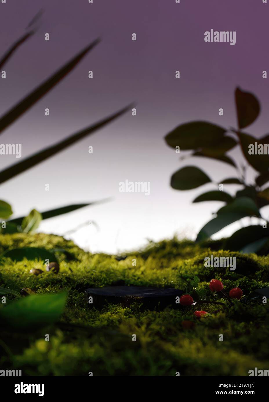 Photo backdrop for merchandise, Product image backdrops Stock Photo - Alamy