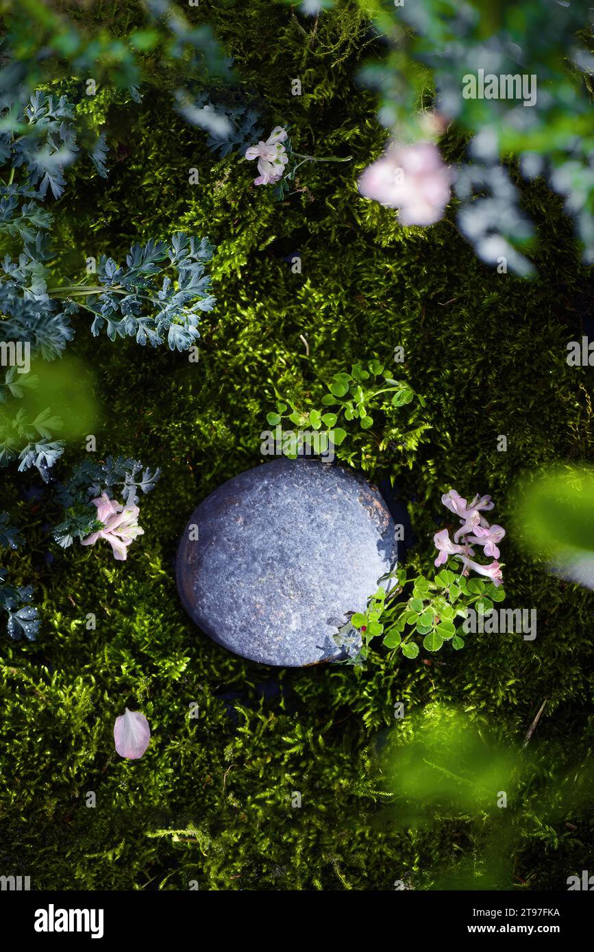 Photo backdrop for merchandise, Product image backdrops Stock Photo - Alamy