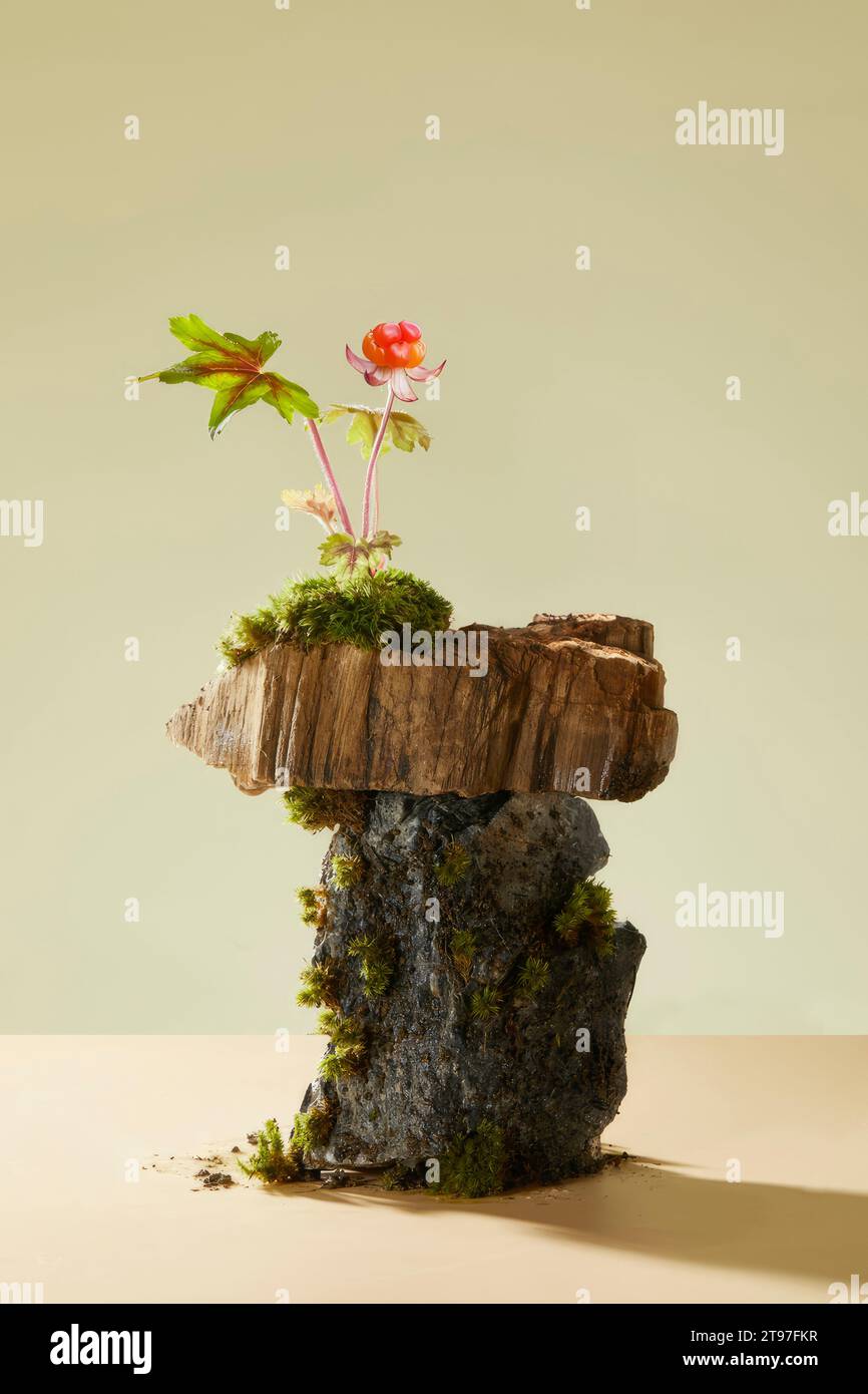 Photo backdrop for merchandise, Product image backdrops Stock Photo - Alamy