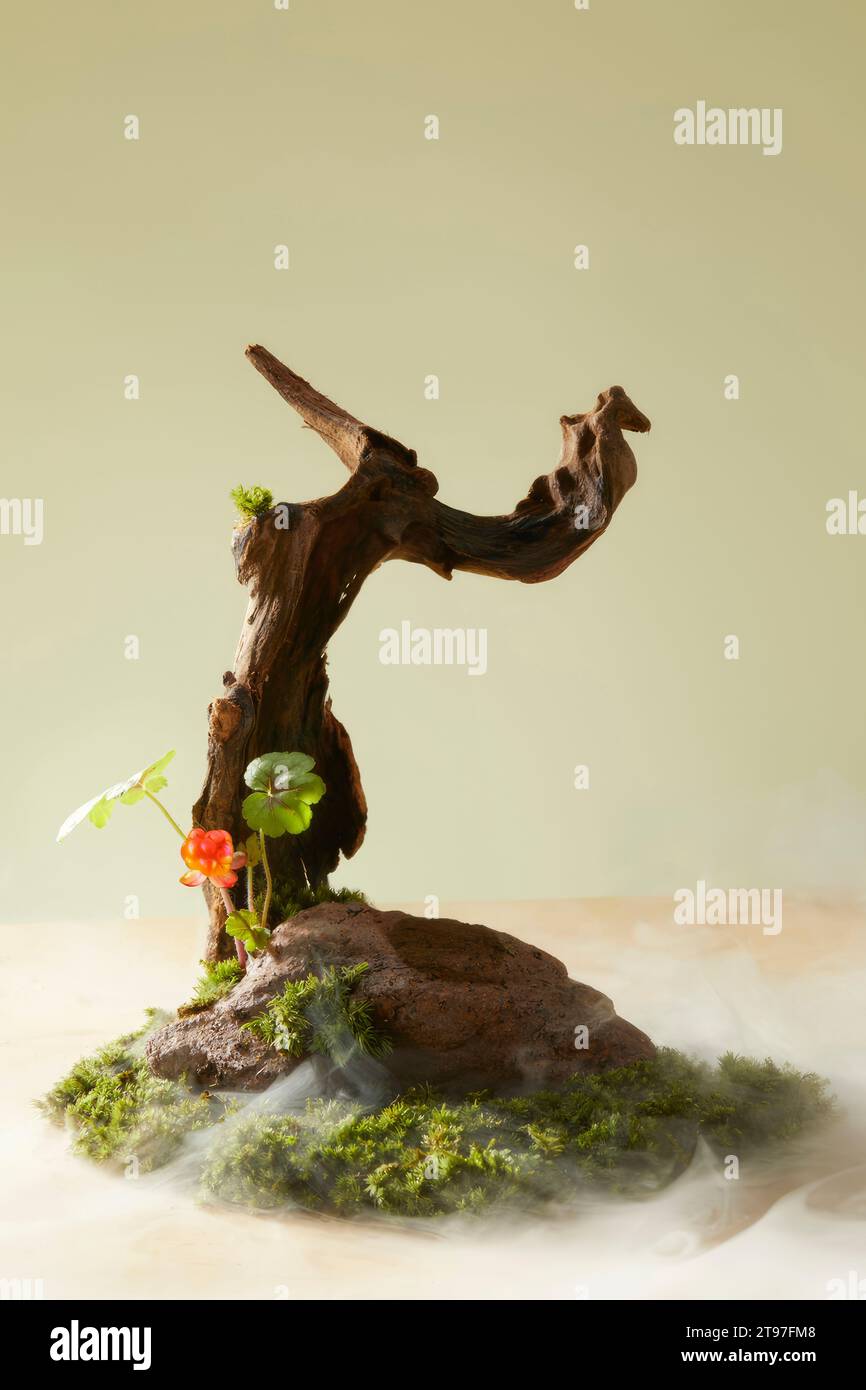 Photo backdrop for merchandise, Product image backdrops Stock Photo - Alamy