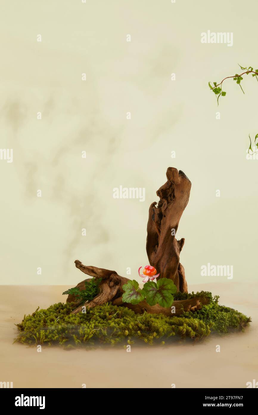 Photo backdrop for merchandise, Product image backdrops Stock Photo - Alamy