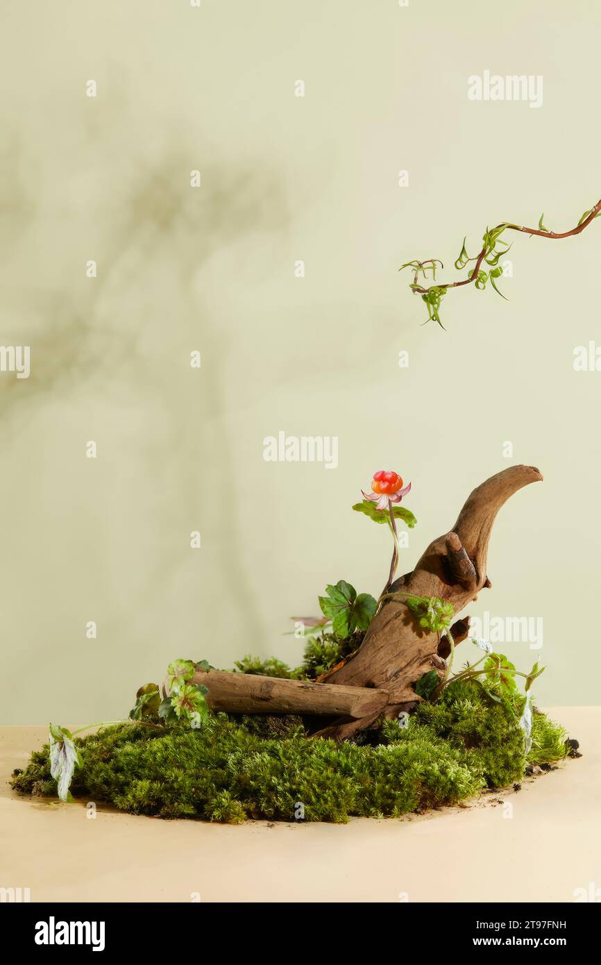 Photo backdrop for merchandise, Product image backdrops Stock Photo - Alamy