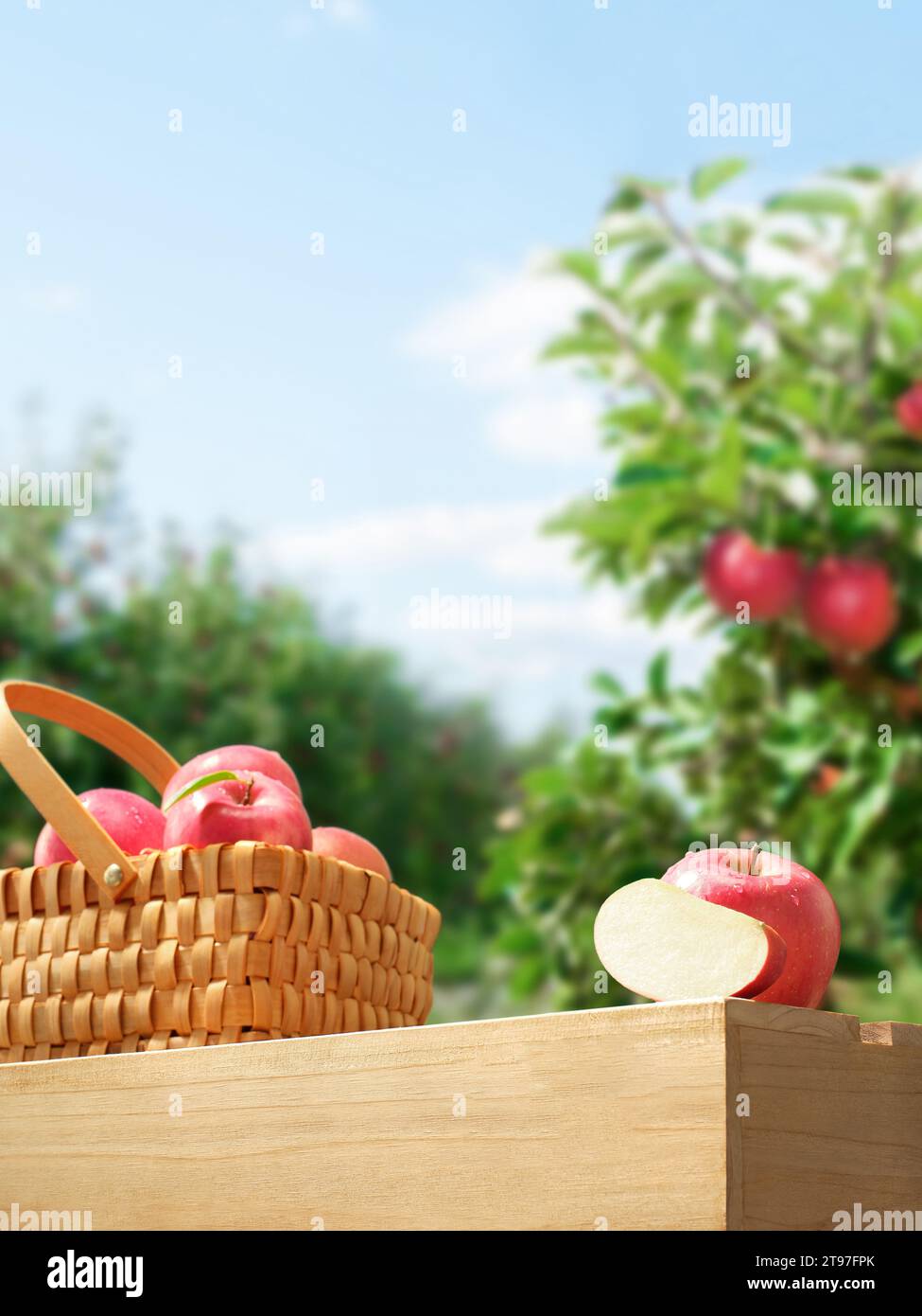 Photo backdrop for merchandise, Product image backdrops Stock Photo - Alamy