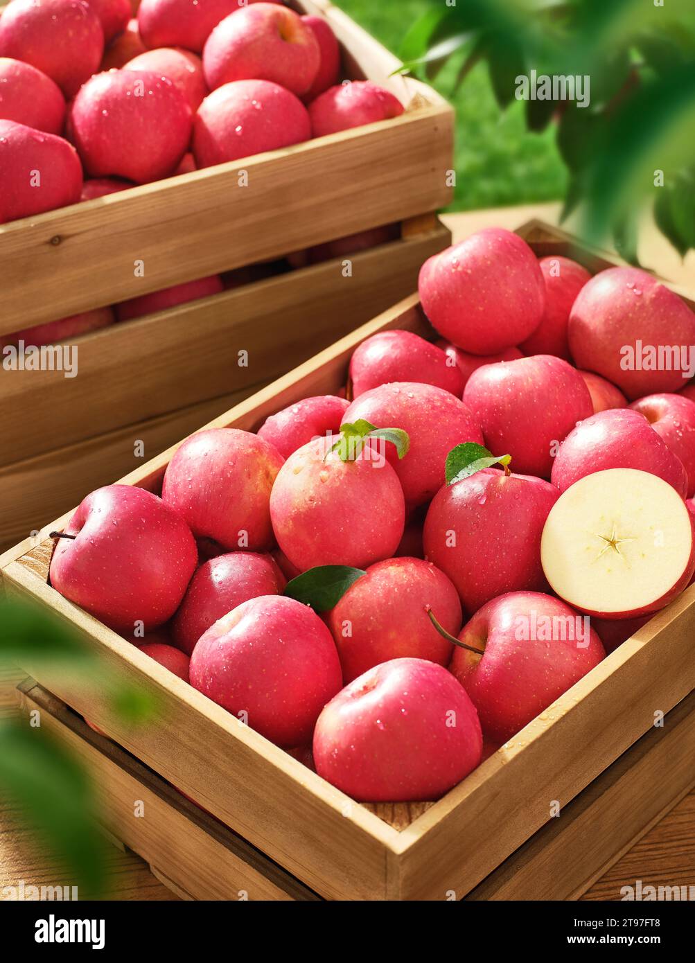 Photo backdrop for merchandise, Product image backdrops Stock Photo - Alamy