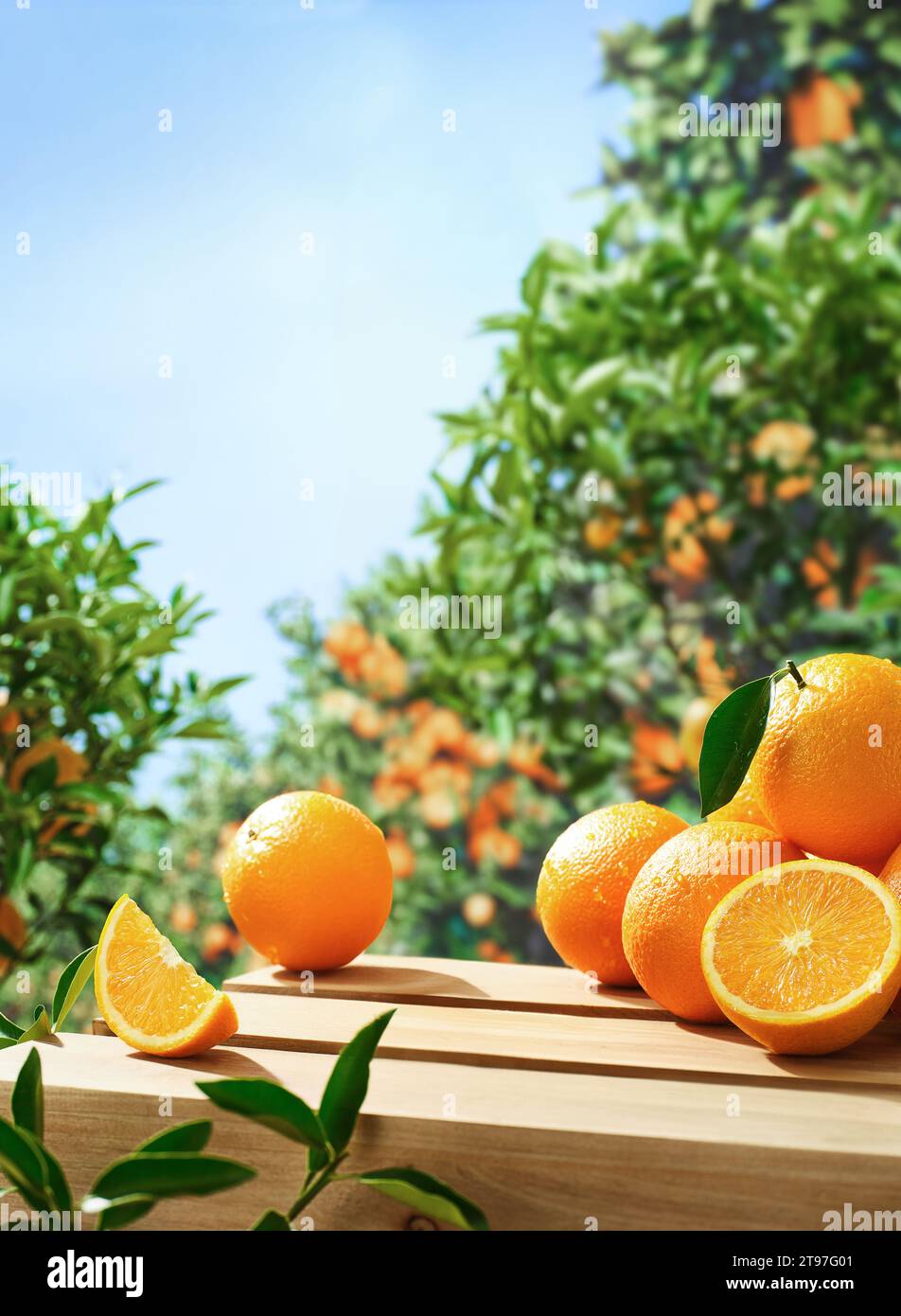 Product photo backdrops hi-res stock photography and images - Alamy