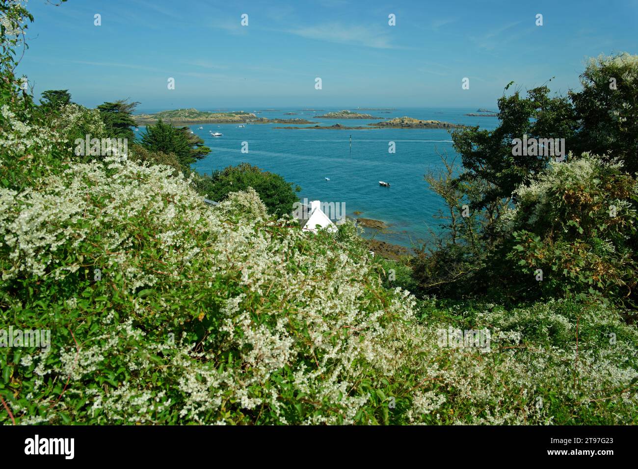 Chausey Islands, the Sound (Manche, Normandy, France Stock Photo - Alamy