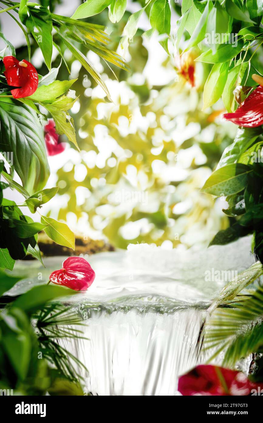 Product presentation backdrops, Background for product shots, Product ...