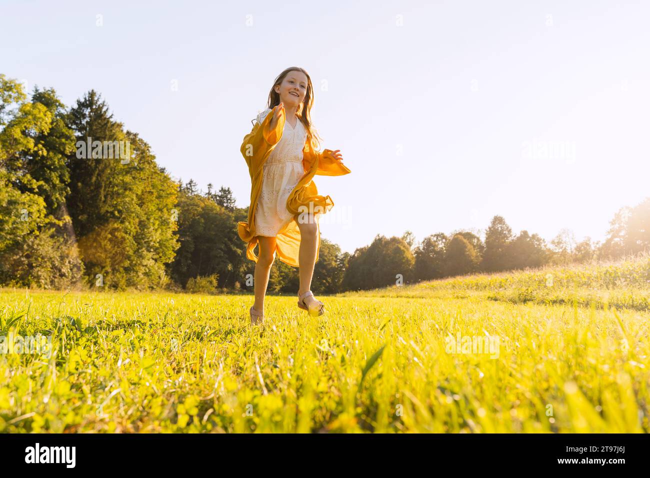 Field, sunshine, running hi-res stock photography and images - Alamy