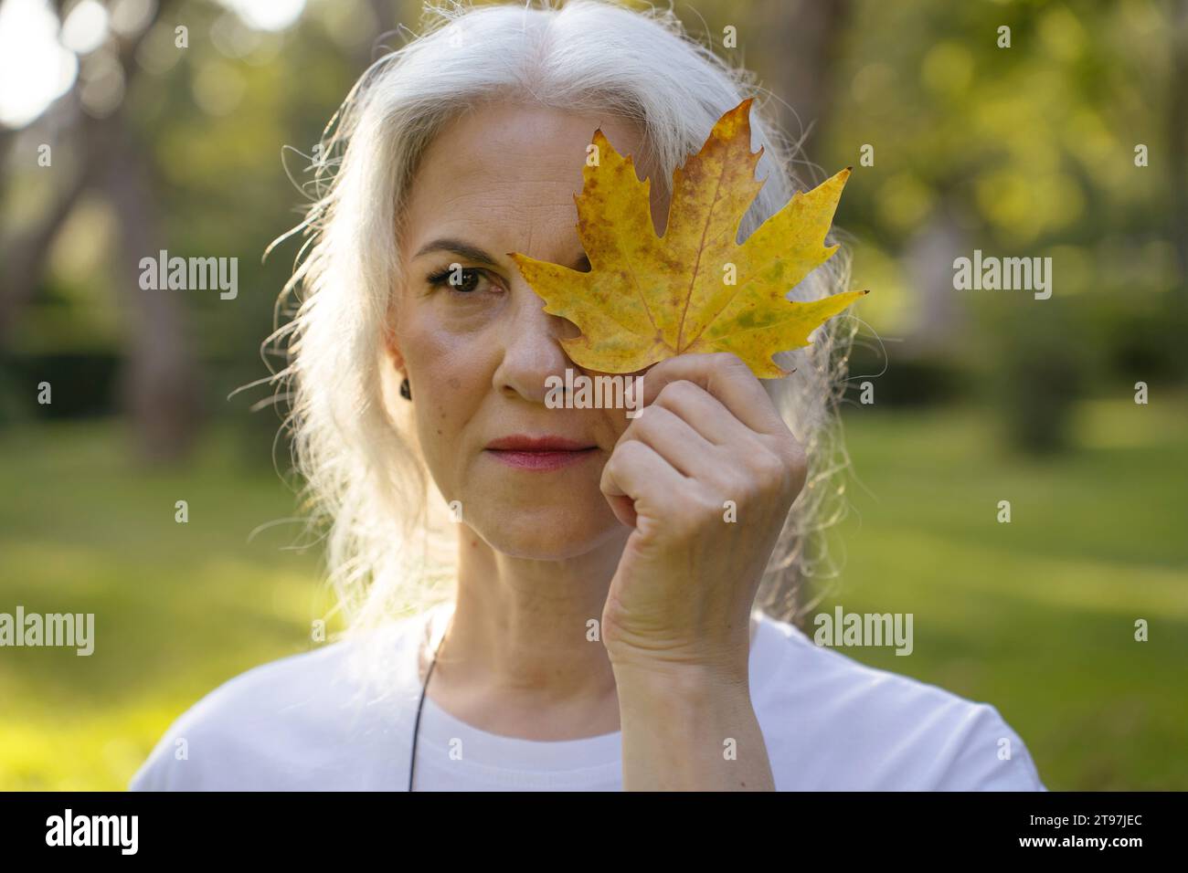 Mature woman covering face with maple leaf at autumn park Stock Photo ...