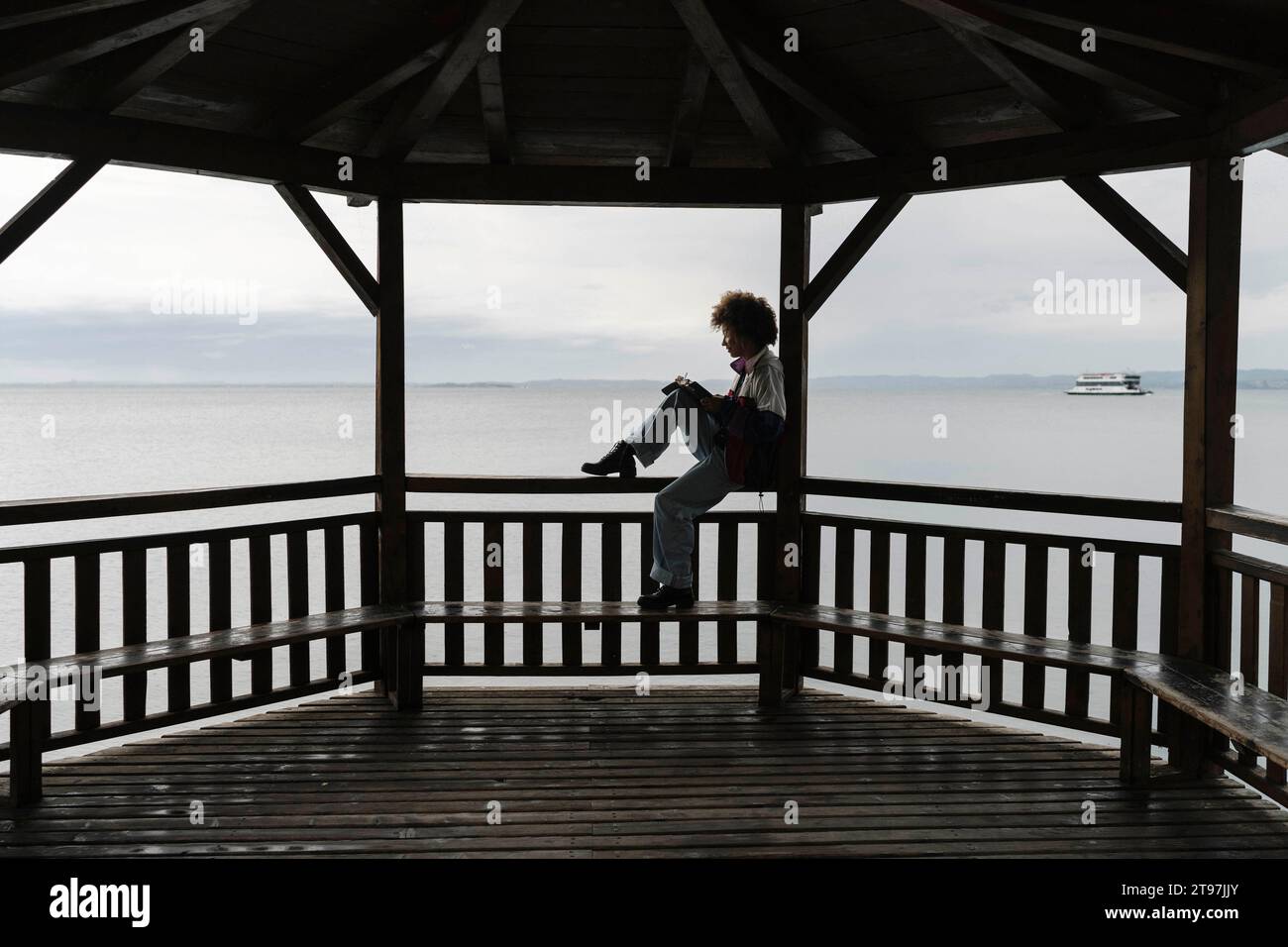 Young woman with book sitting on railing under gazebo Stock Photo - Alamy