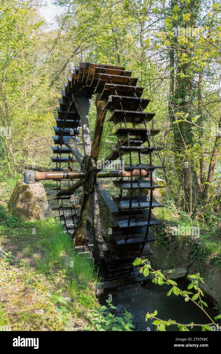 old water wheel in forest in germany Stock Photo - Alamy
