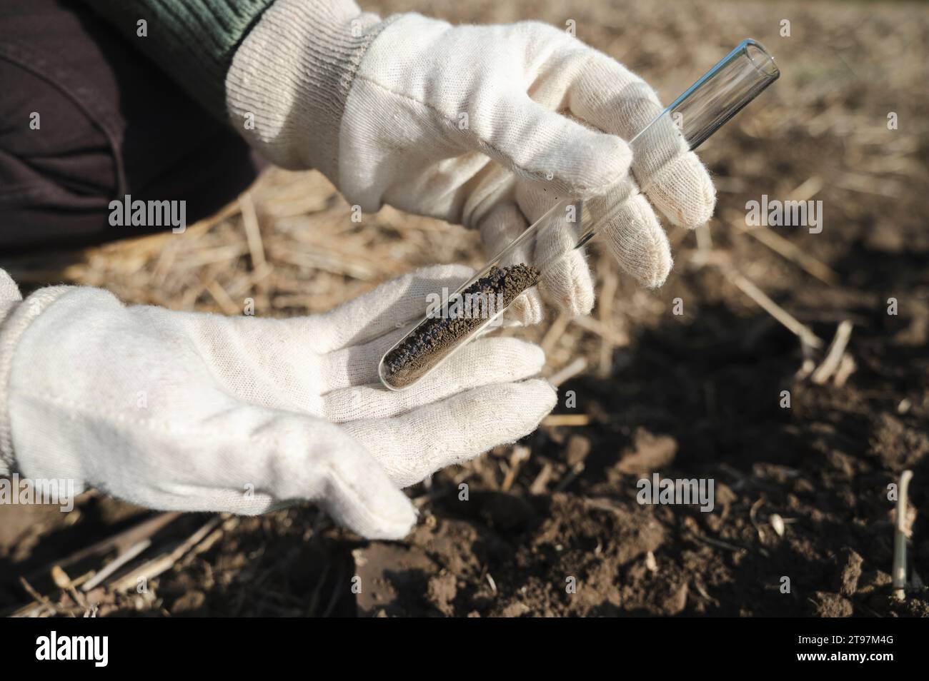 Hands of agronomist collecting soil in test tube for examination Stock ...