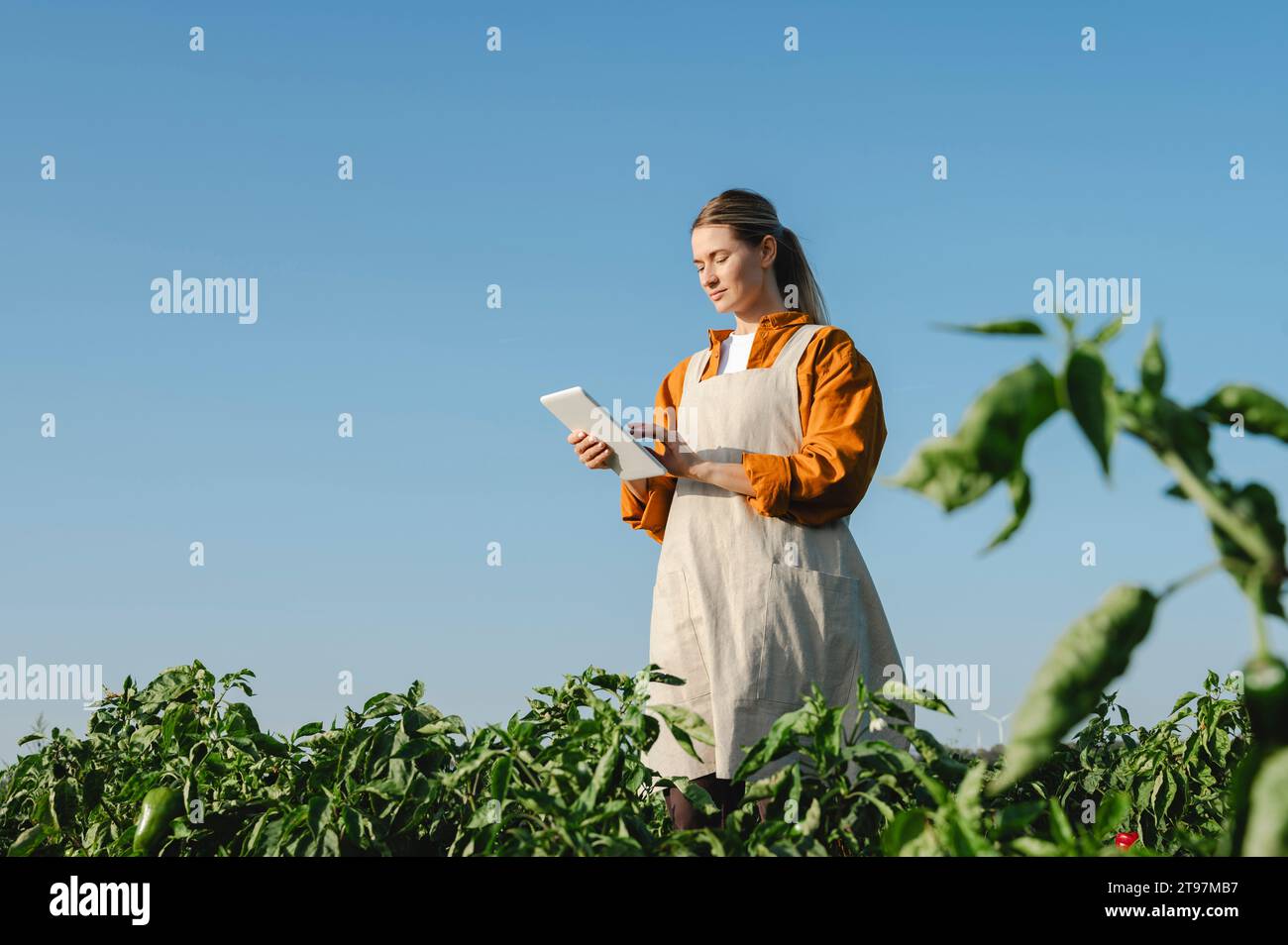 Smart farmer farmer using hi-res stock photography and images - Alamy