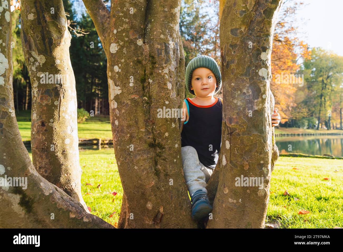 Boy wearing knit hat standing amidst tree trunks Stock Photo - Alamy