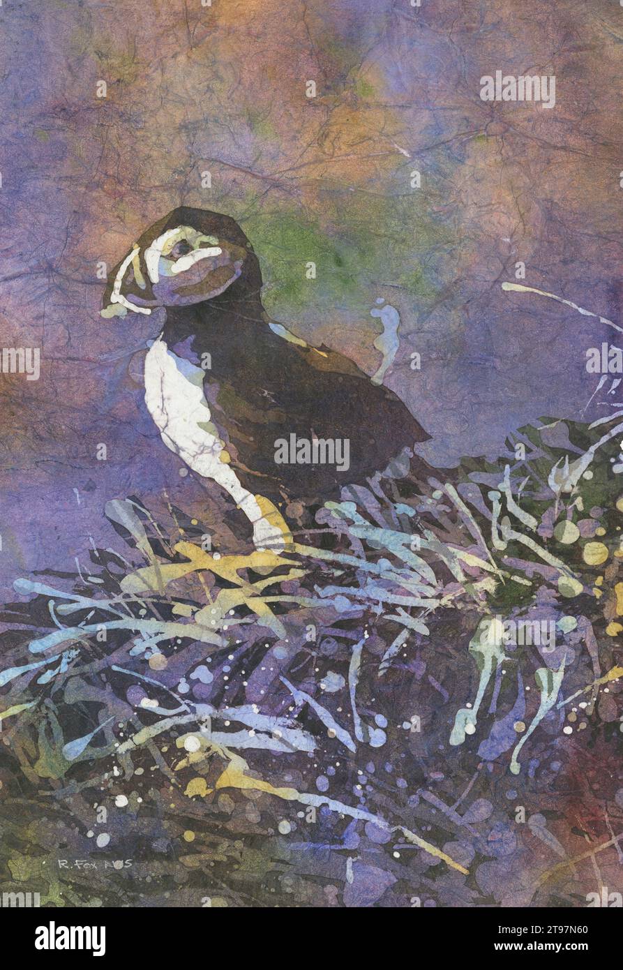 Puffin fine art watercolor painting. Watercolor painting Puffin Iceland ...