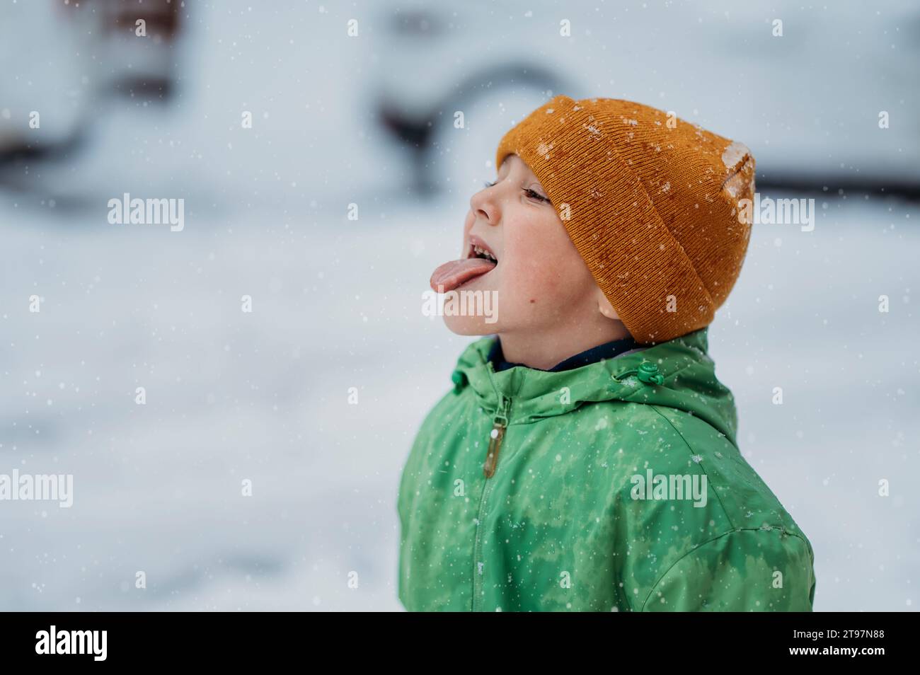 Boy wearing knit hat catching snow on tongue in winter Stock Photo - Alamy