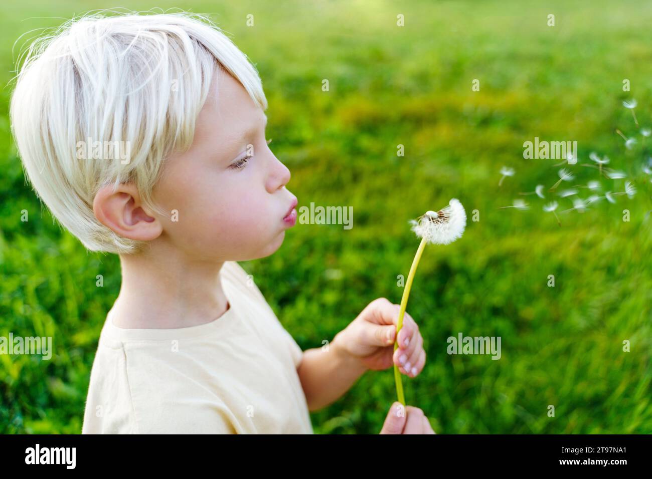 Wind blowing flower hi-res stock photography and images - Alamy