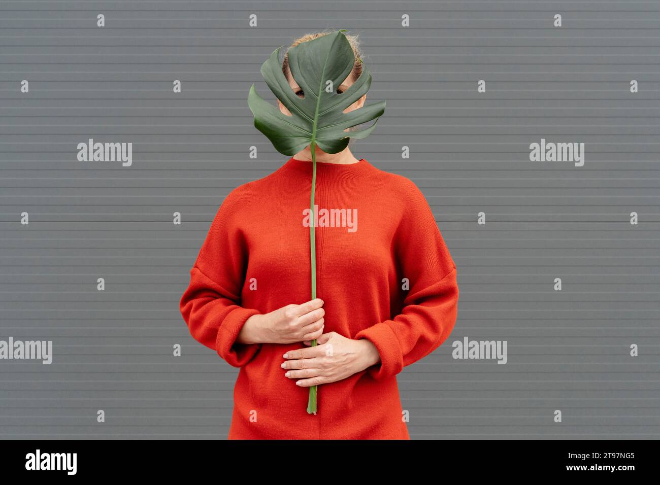 Woman holding monstera leaf over face in front of gray wall Stock Photo ...
