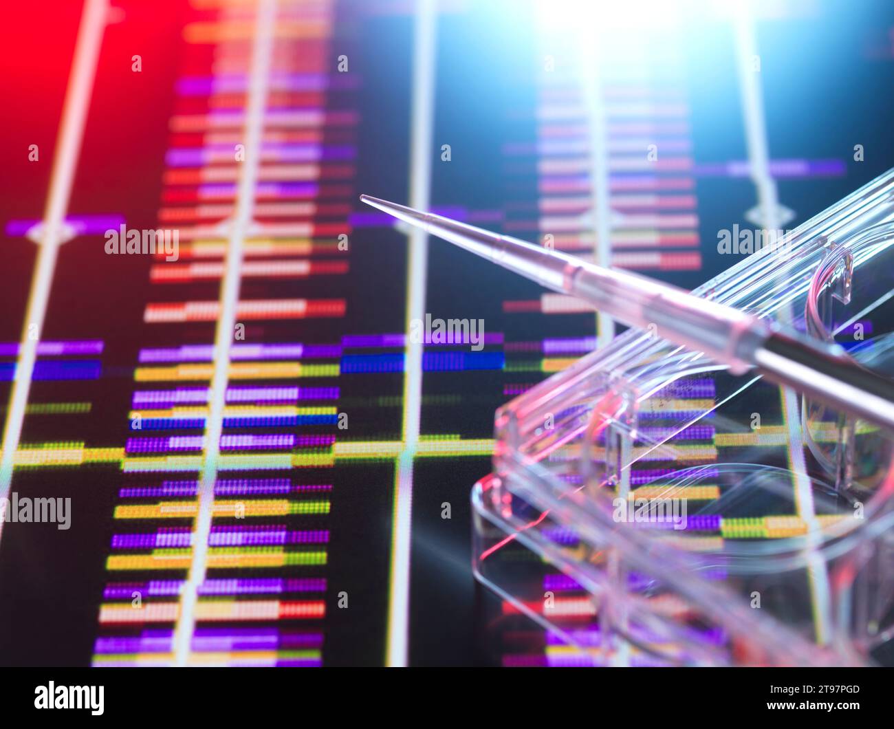 Pipette and multi well plate on DNA research data Stock Photo - Alamy
