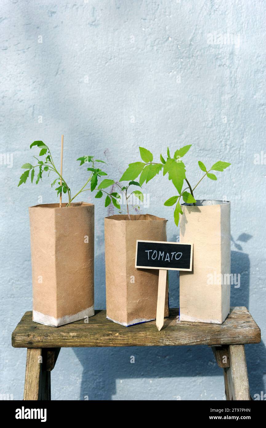 Vegetable stool hi-res stock photography and images - Alamy