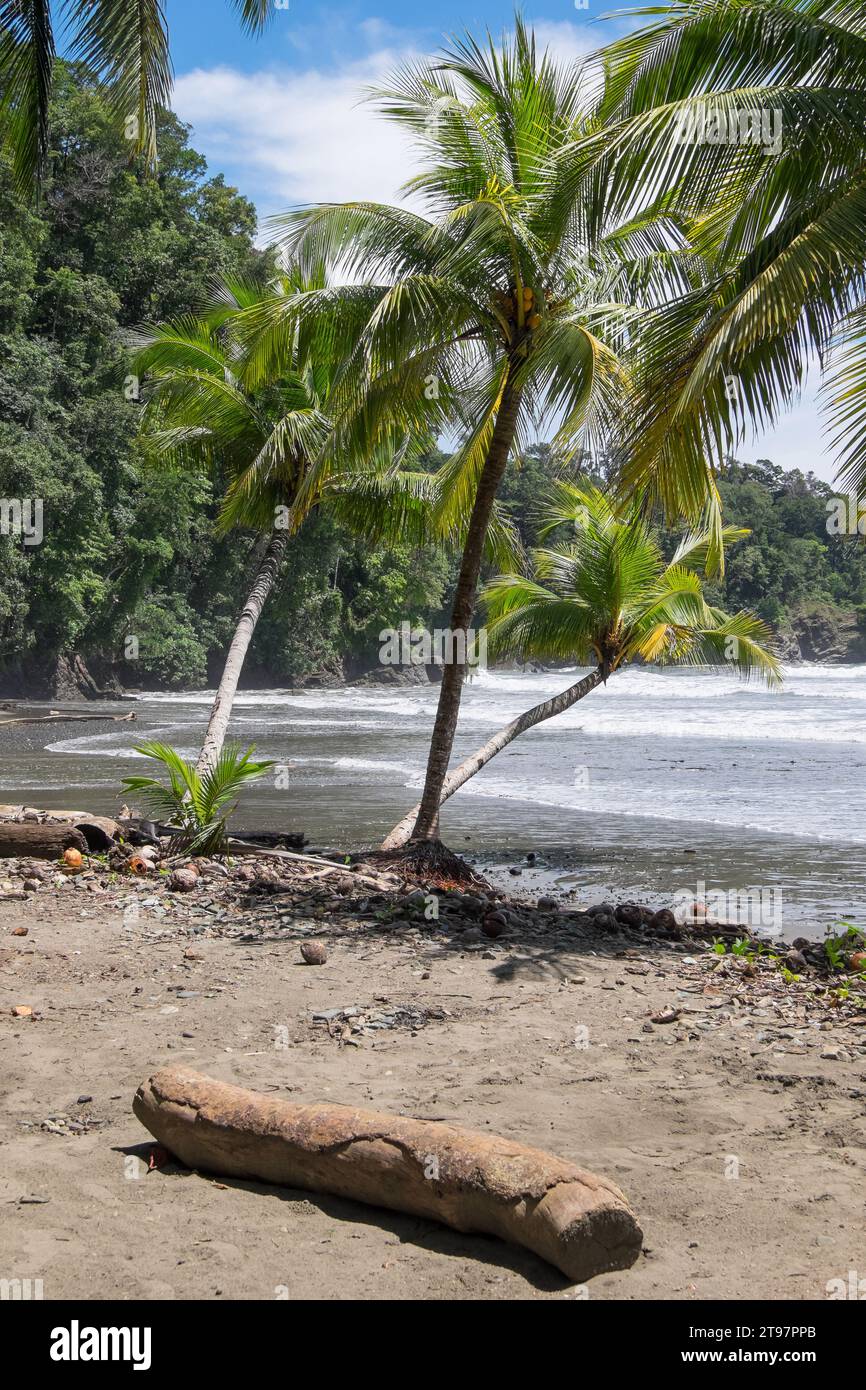 Ventanas Beach on the Pacific coast of Puntarenas in Costa Rica Stock ...