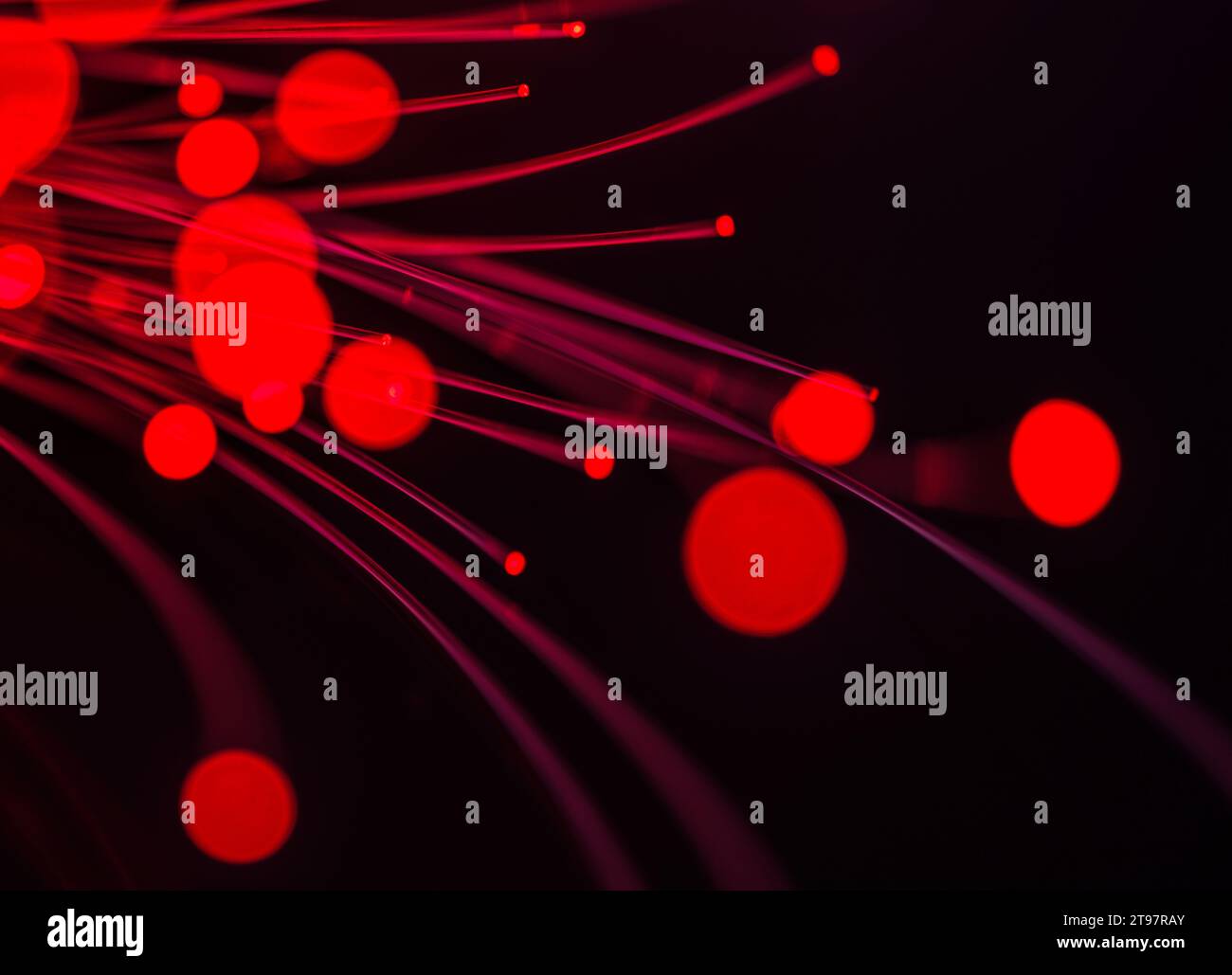Red glowing fiber optic cables Stock Photo - Alamy