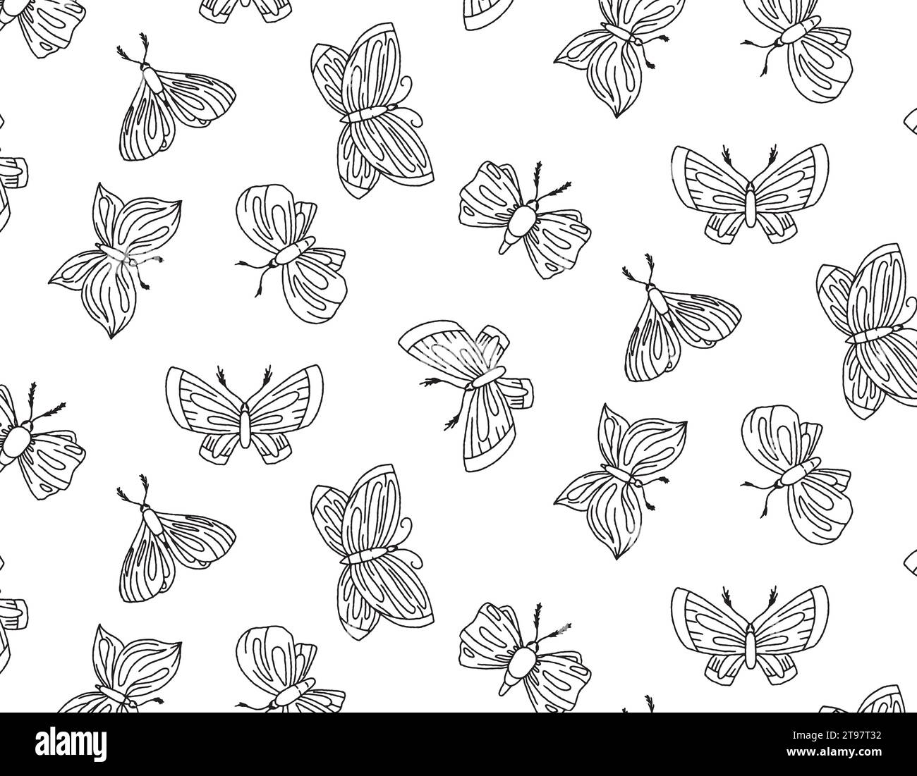Vector insect moth pattern, line style illustration, doodle vector ...