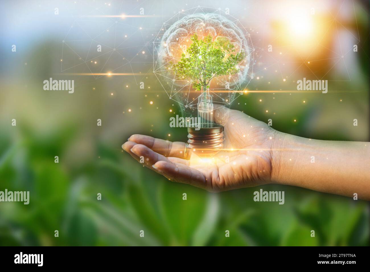 Ideas for reducing CO2 emissions, turning to clean energy for a green ...