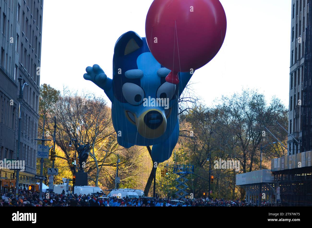 Bluey cartoon hi-res stock photography and images - Alamy