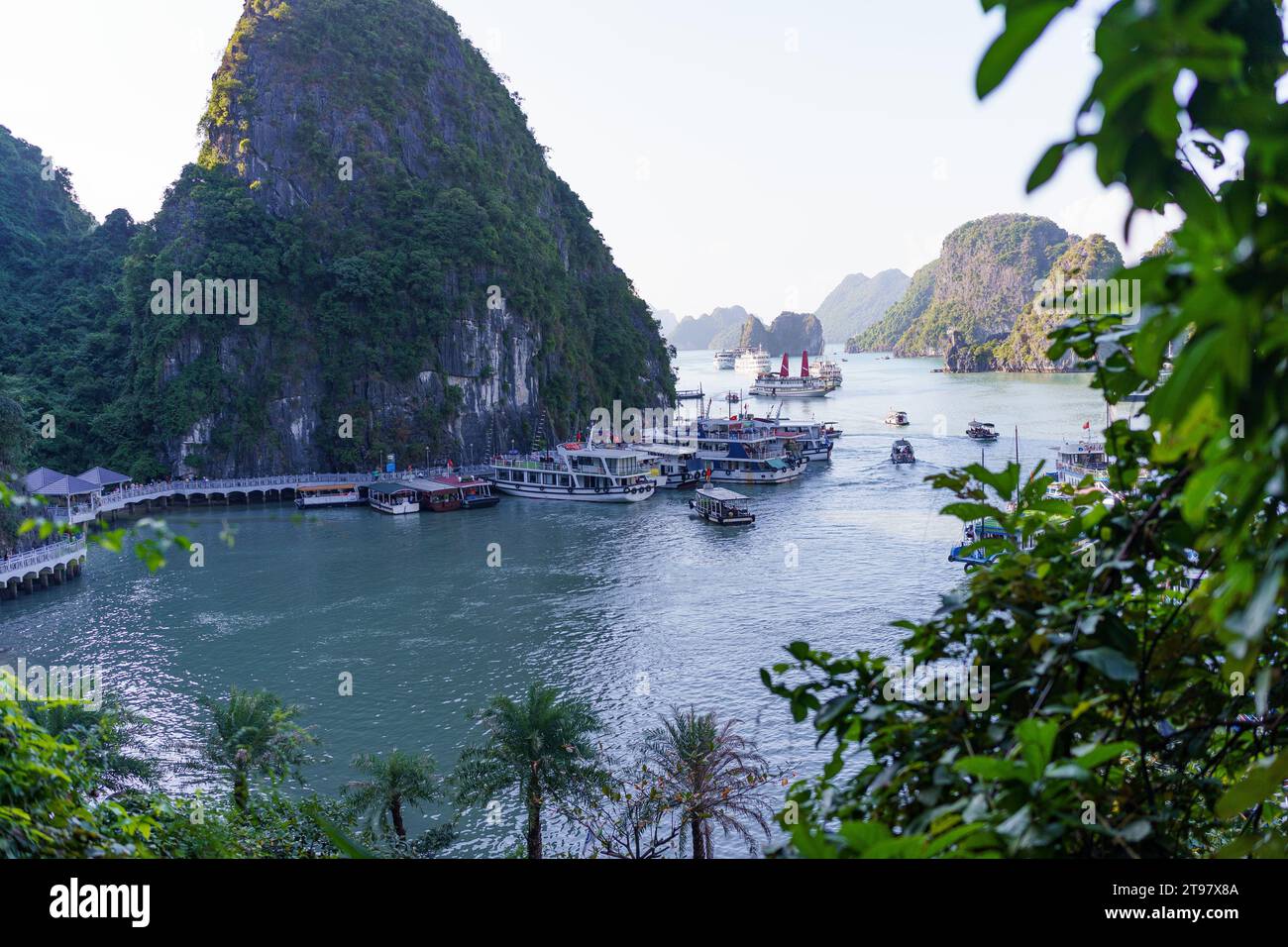 Tourist boats and cruises are seen in the famous Ha Long Bay, one of ...