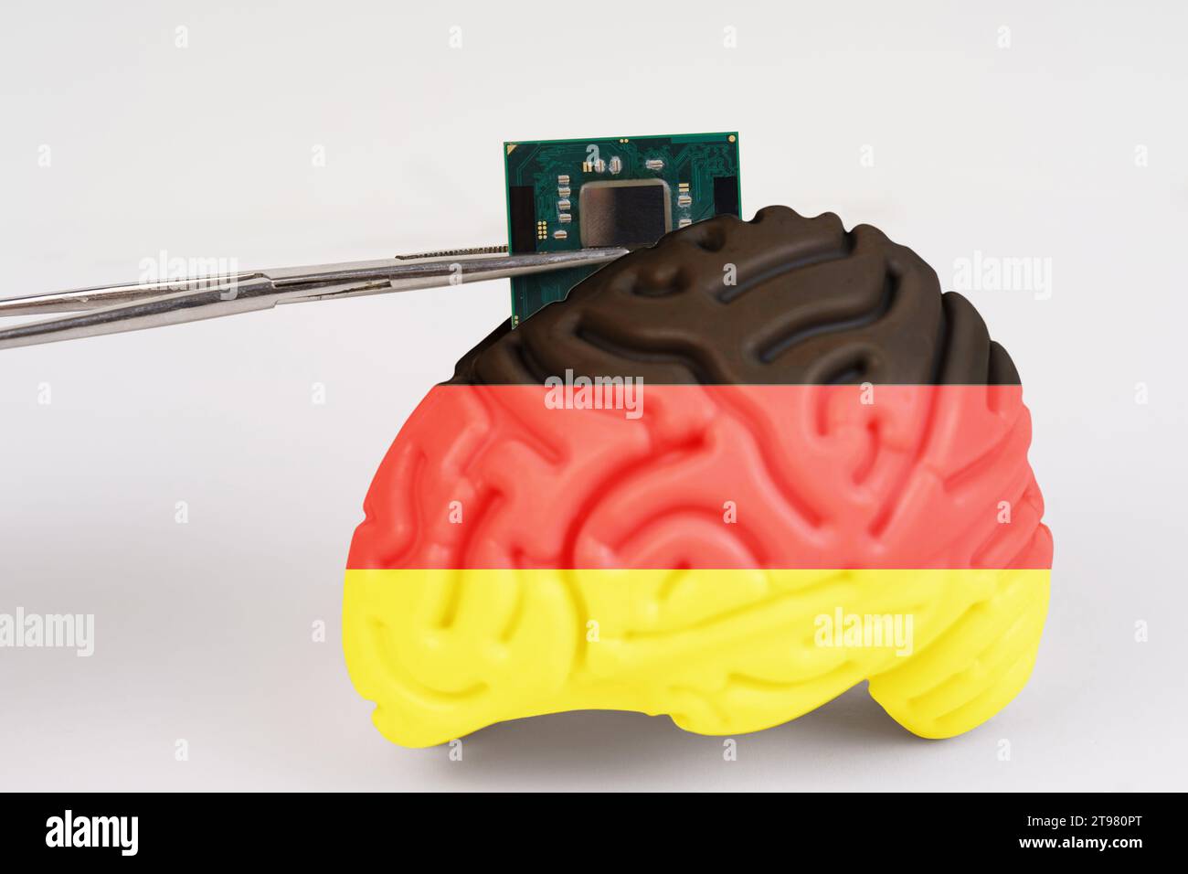 On a white background, a model of the brain with a picture of a flag ...