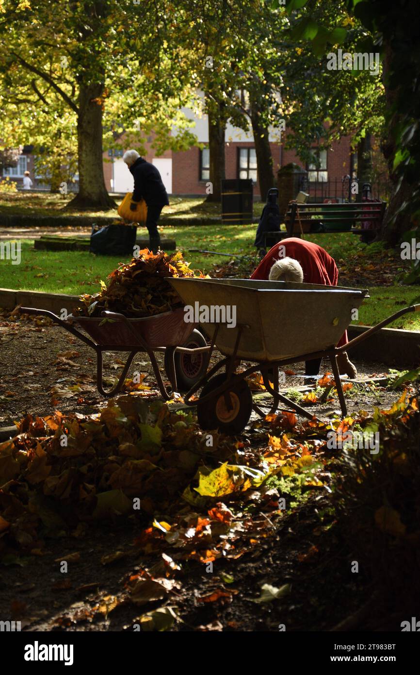 Elderly volunteers clearing autumn leaves at Wimborne Minster in Dorset ...