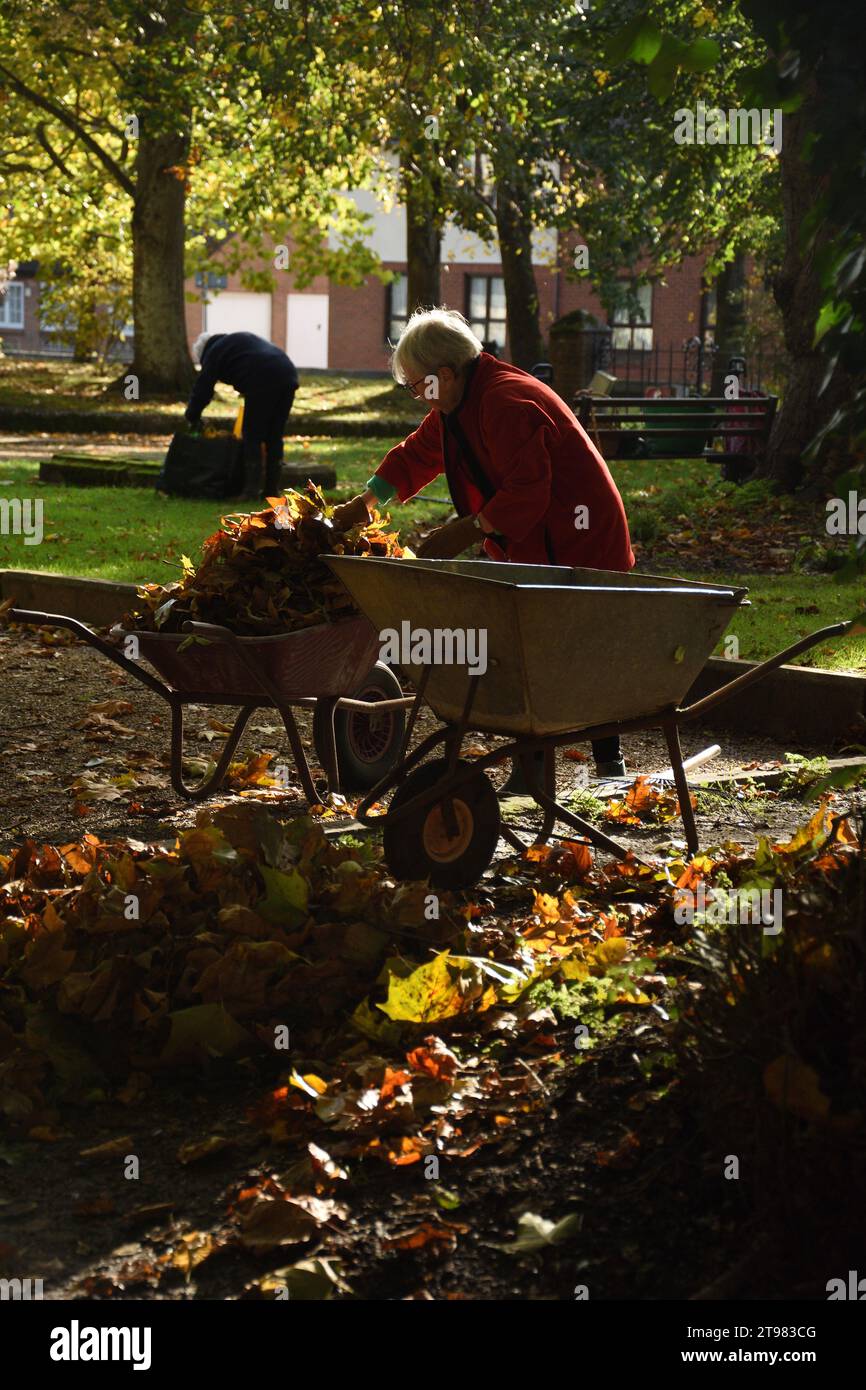 Elderly volunteers clearing autumn leaves at Wimborne Minster in Dorset ...
