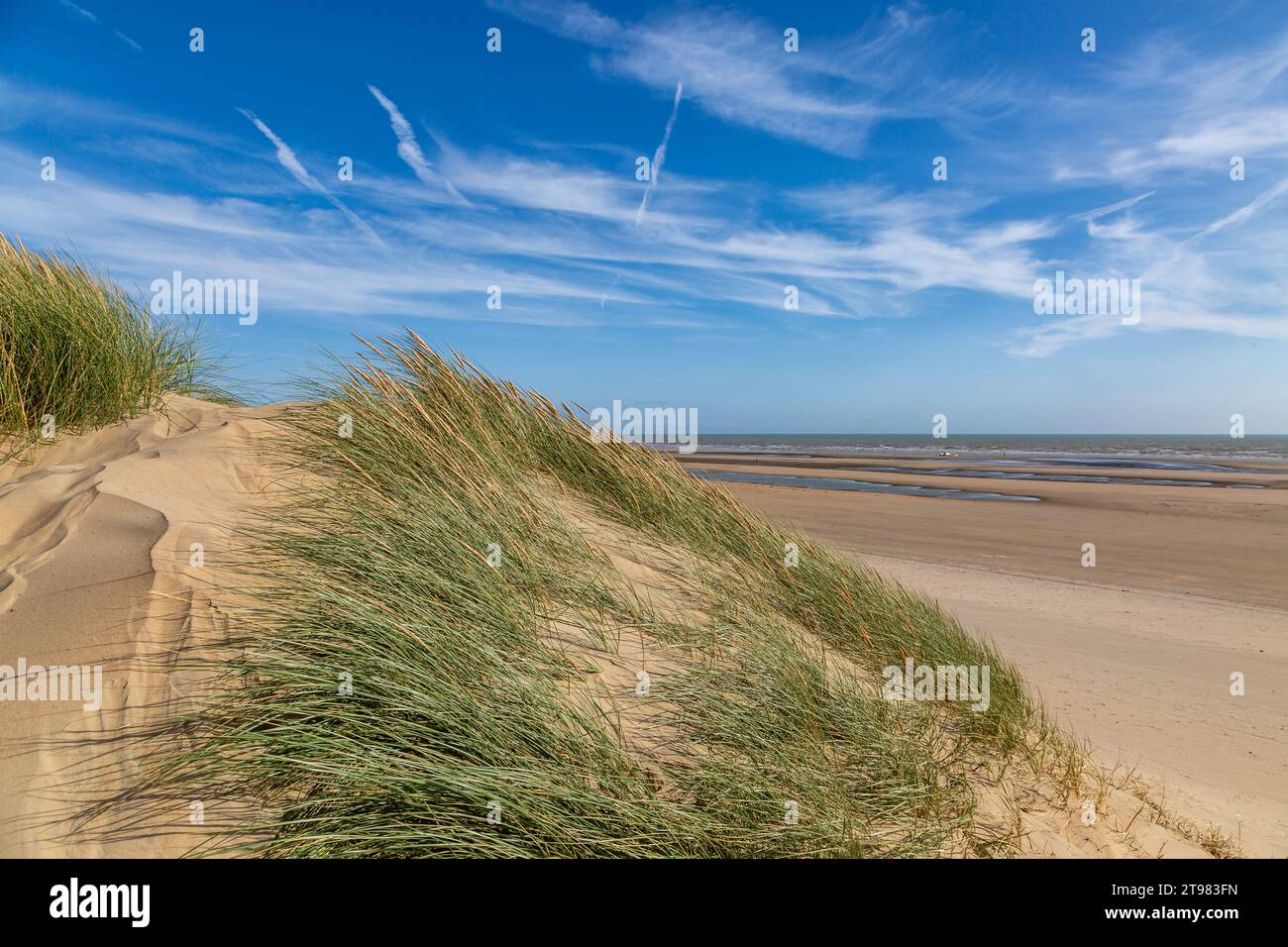 Camber sands on sunny hi-res stock photography and images - Alamy