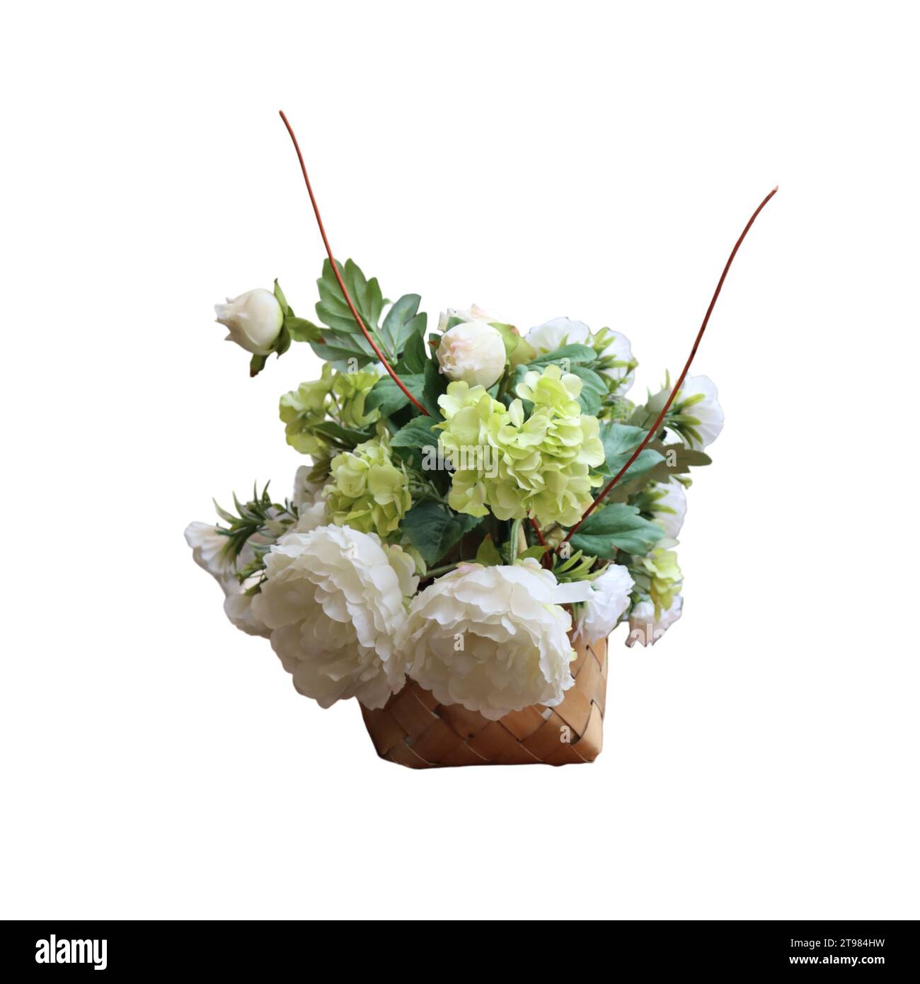 Vibrant arrangement bold shapes hi-res stock photography and images - Alamy