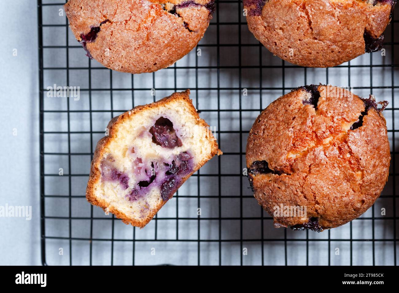 Blueberry muffins fresh from the oven hi-res stock photography and ...
