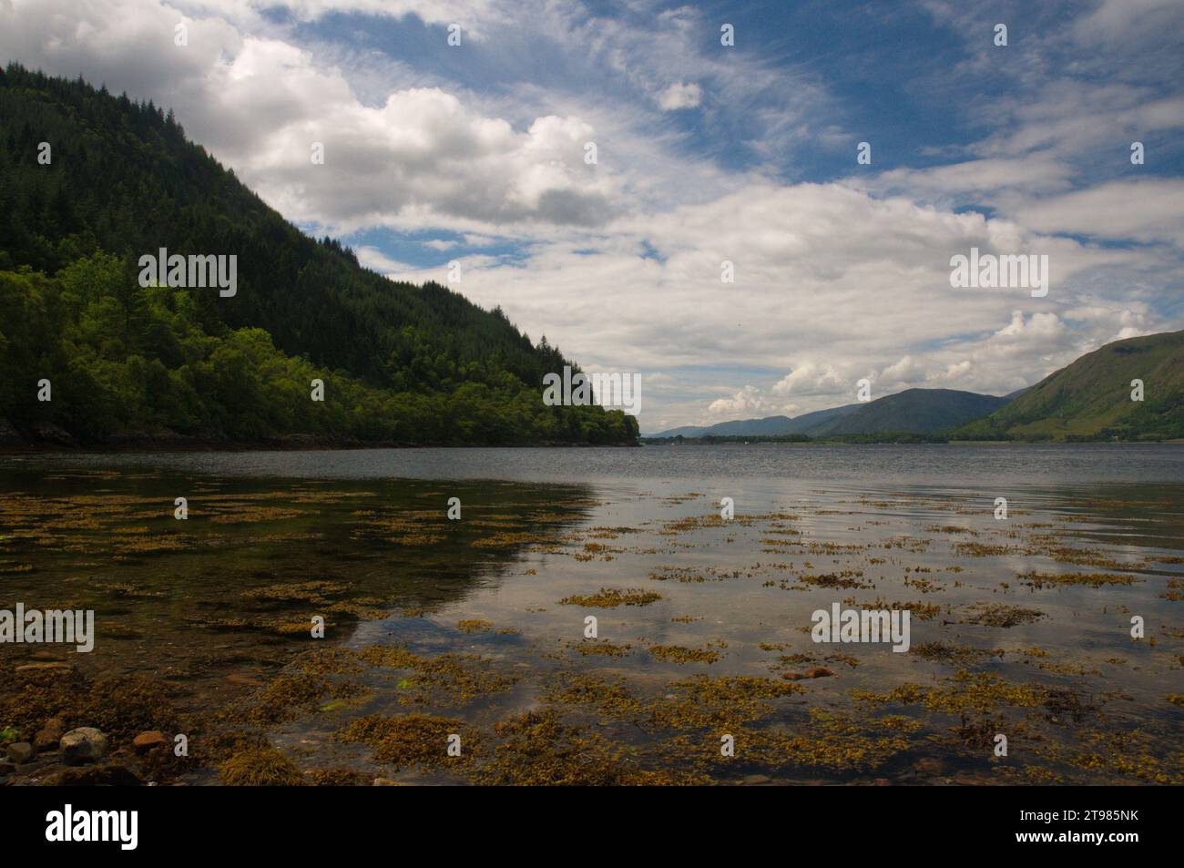 Scottish highlands landscape. Paisaje de las highlands de Escocia Stock ...