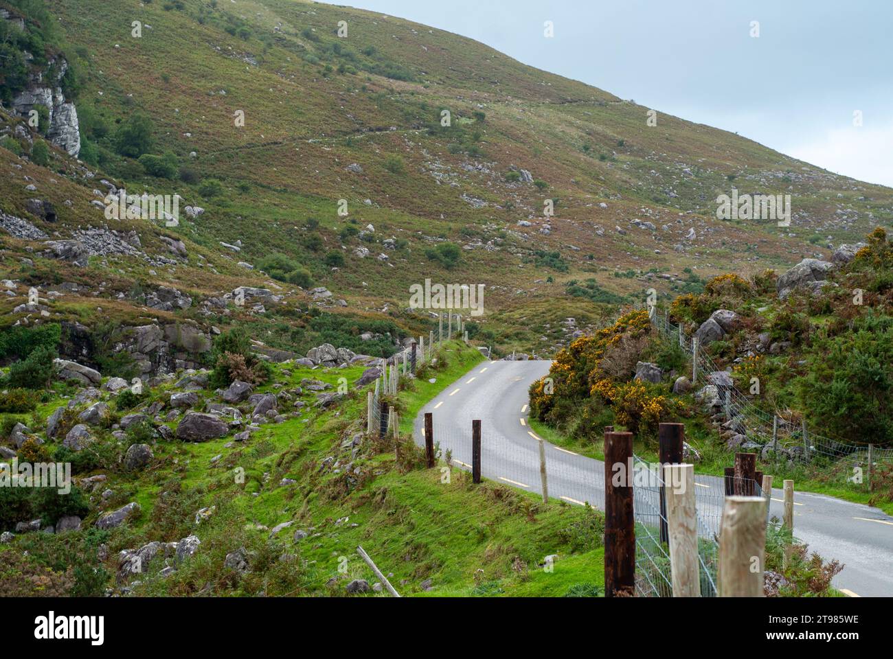 Killarney National Park,Ireland,2022 Stock Photo - Alamy