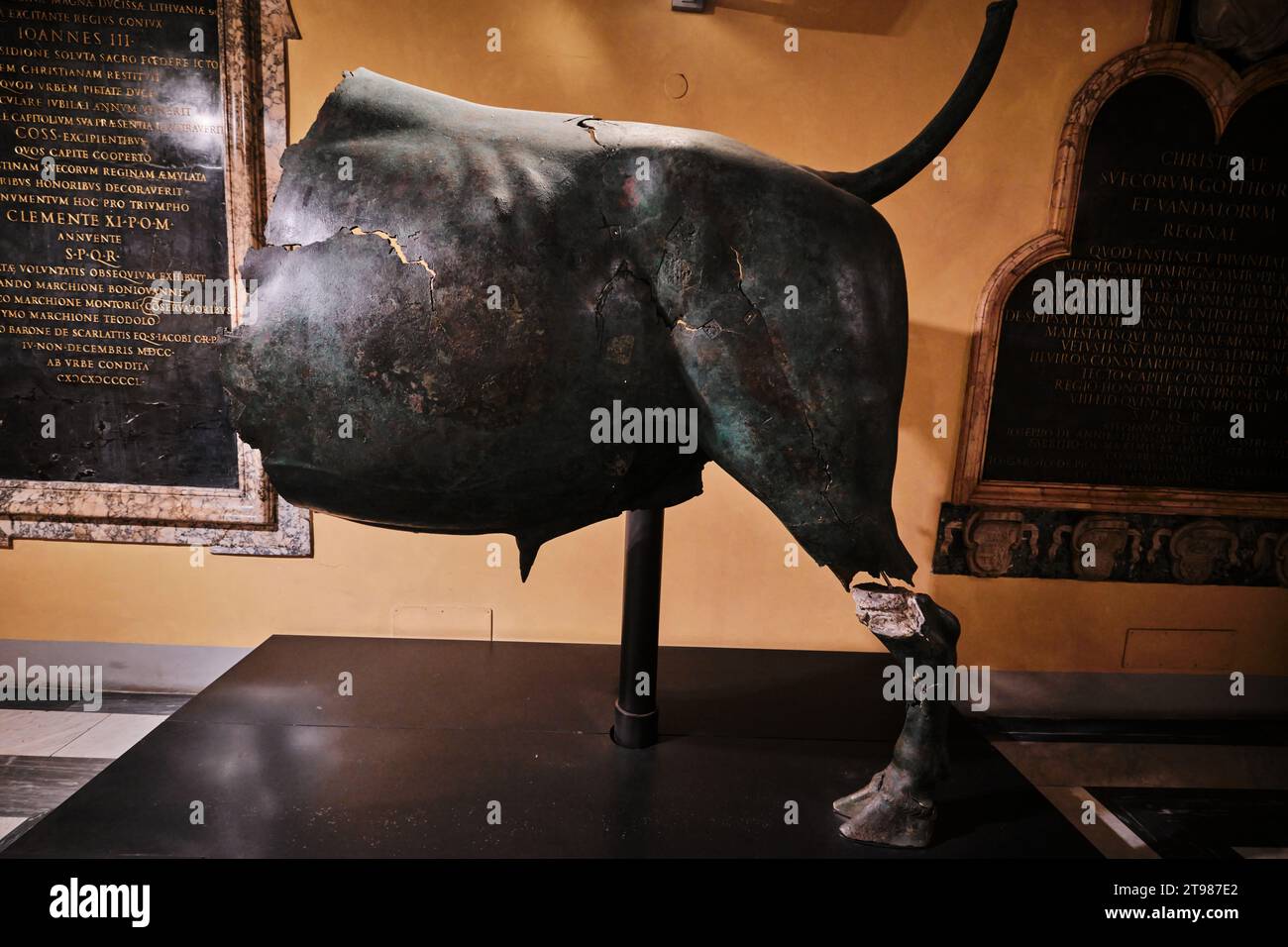 Rome, Italy - October 29 2023: Bronze Greek Bull sculpture located in ...