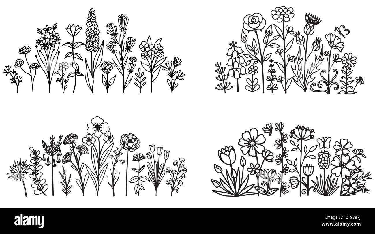 Hand drawn botanical flowers, meadow, spring flowers. Vector ...