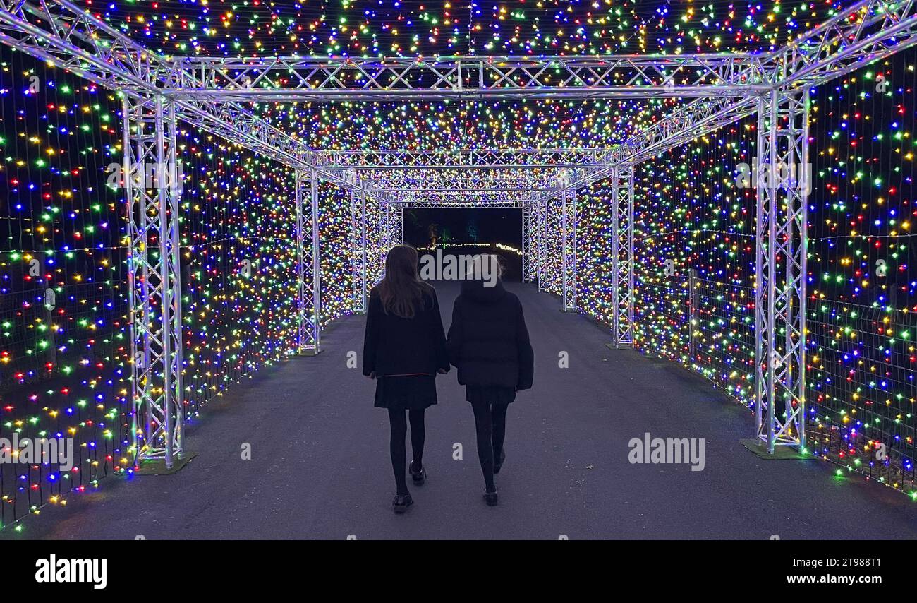 Tunnel of lights at Marwell Zoo's Glow Marwell installation. The ...