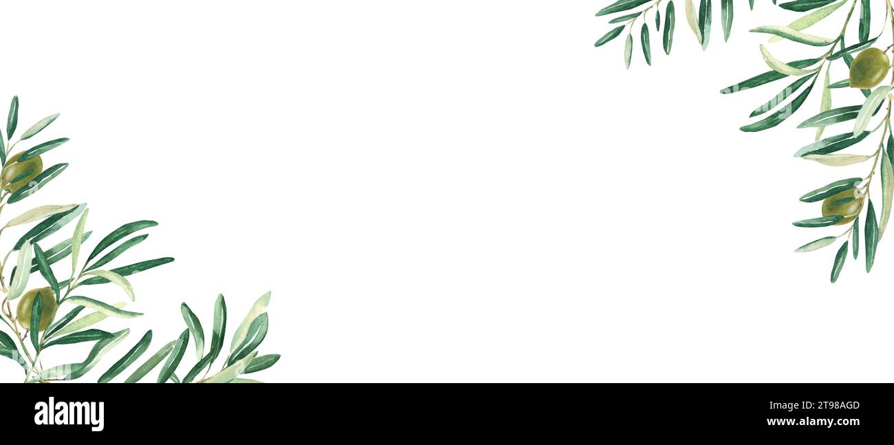 Horizontal frame, border with olive branches corners and green fruits ...