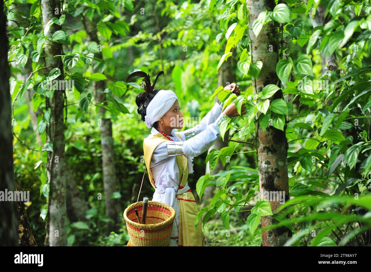 23 November 2023 Sylhet-Bangladesh: Khasi Tribe adorn with their ...