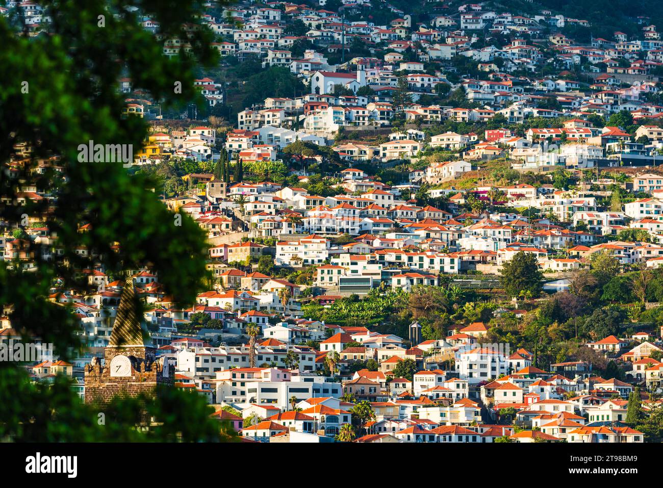 City residential area in hi-res stock photography and images - Alamy