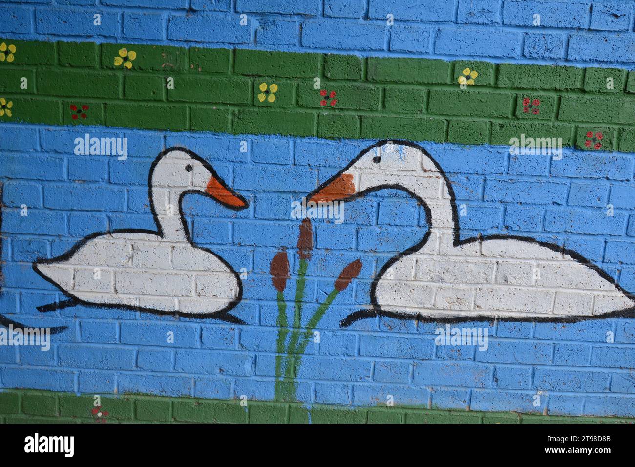 Northampton canal pictures lock gates swan swans white water sign signs ...