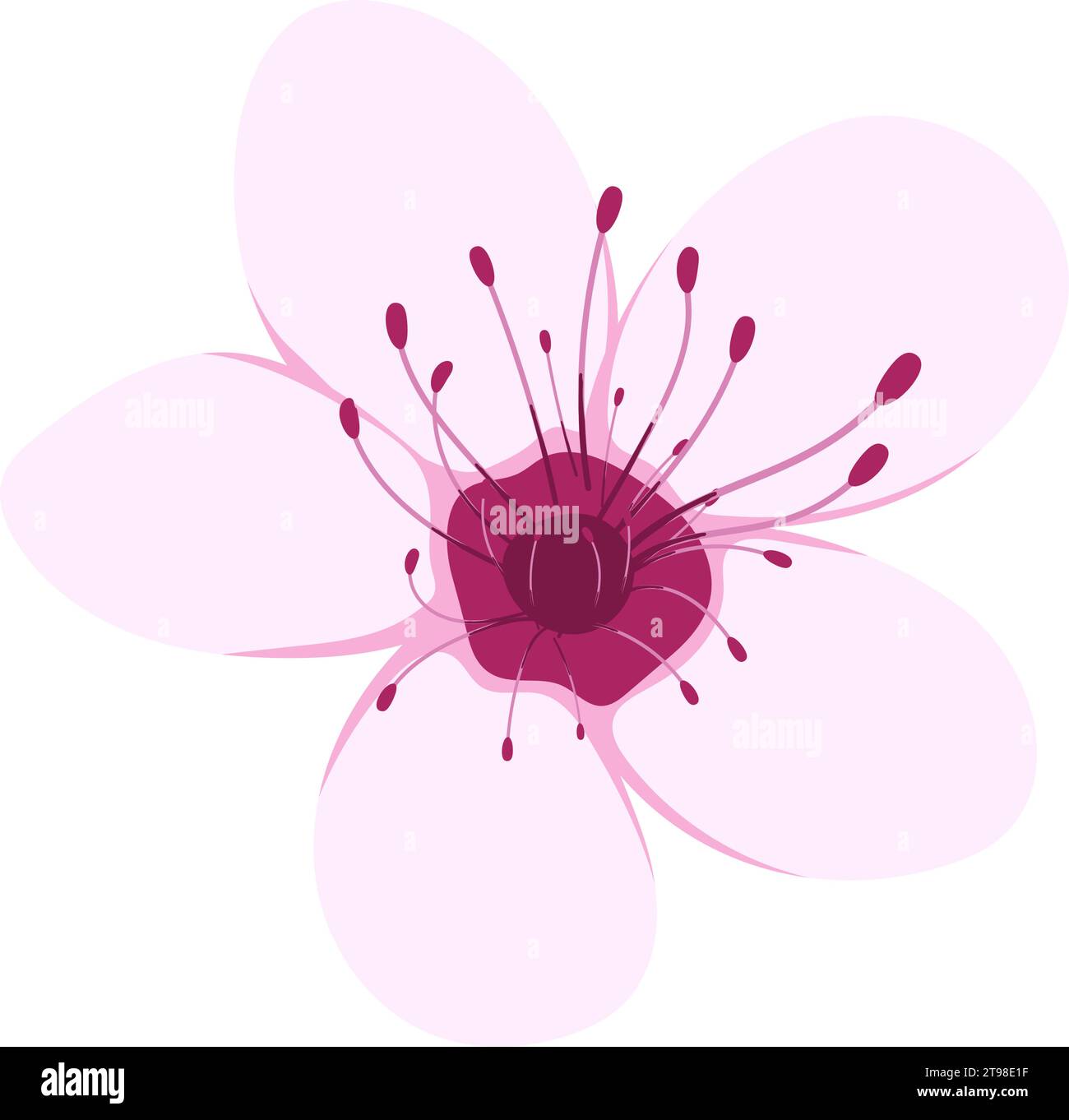 Sakura flower element. Vector illustration Stock Vector Image & Art - Alamy